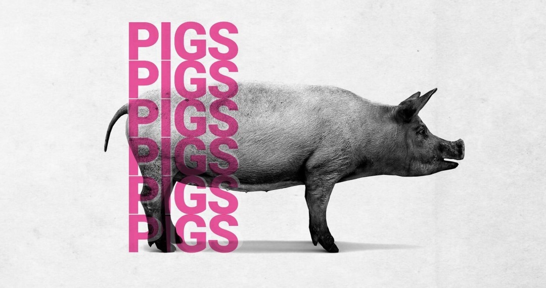 Pigs Pigs Pigs Pigs Pigs Pigs Pigs - Band, Tour Dates 2022, Tickets ...